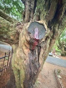 Nevern - The Heritage Hiker's Guide to Nevern